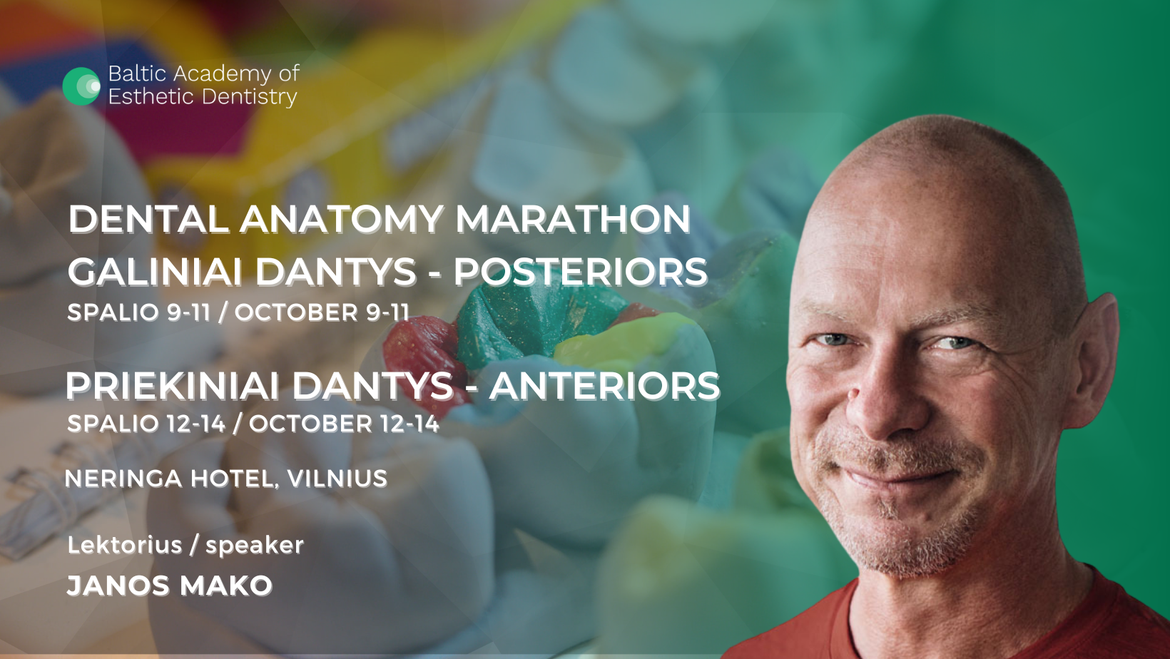 ANATOMIJOS MARATONAS: GALINIAI DANTYS | PRIEKINIAI DANTYS. LEKT. DT ...